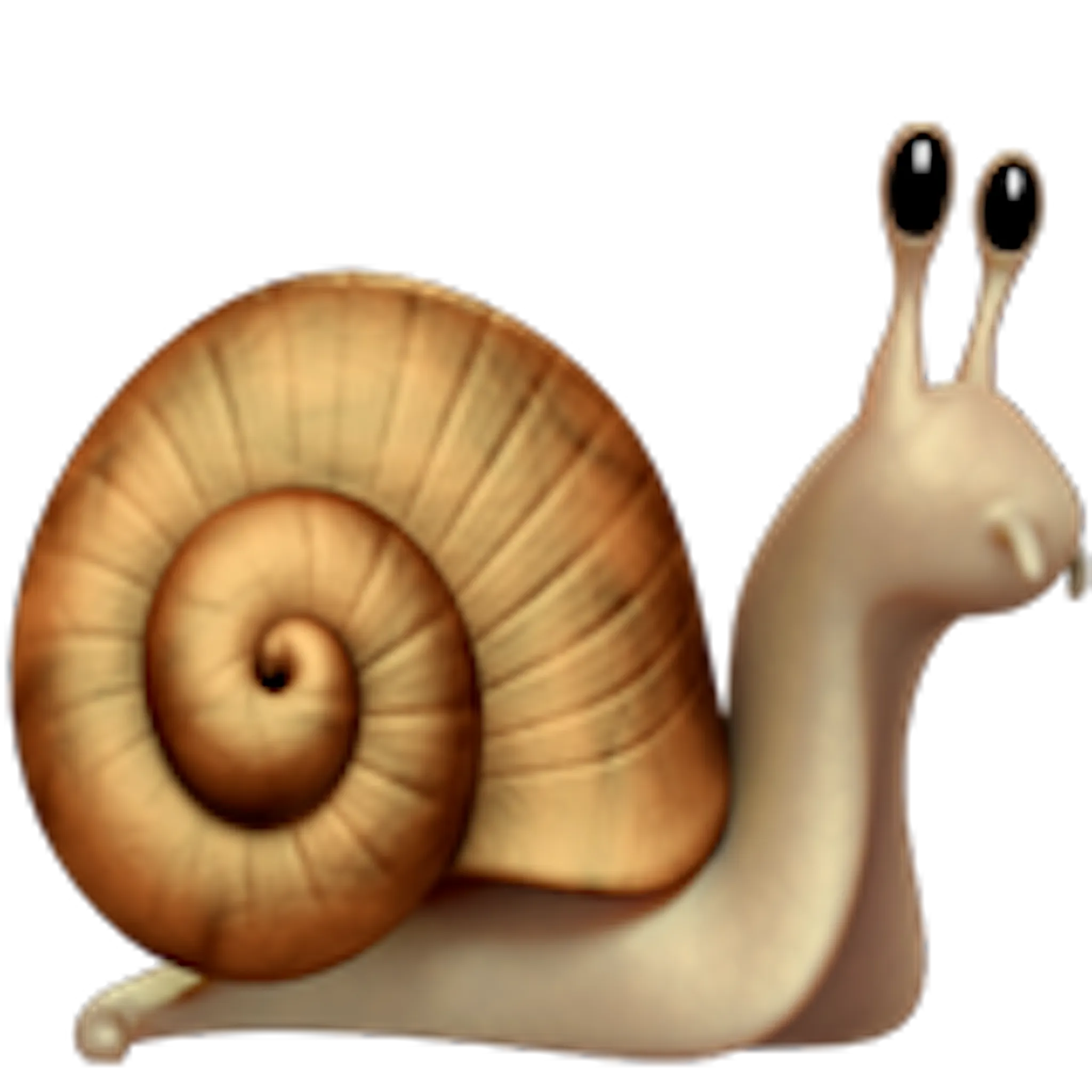 🐌 Slak Emoji Kopiëren Plakken 🐌