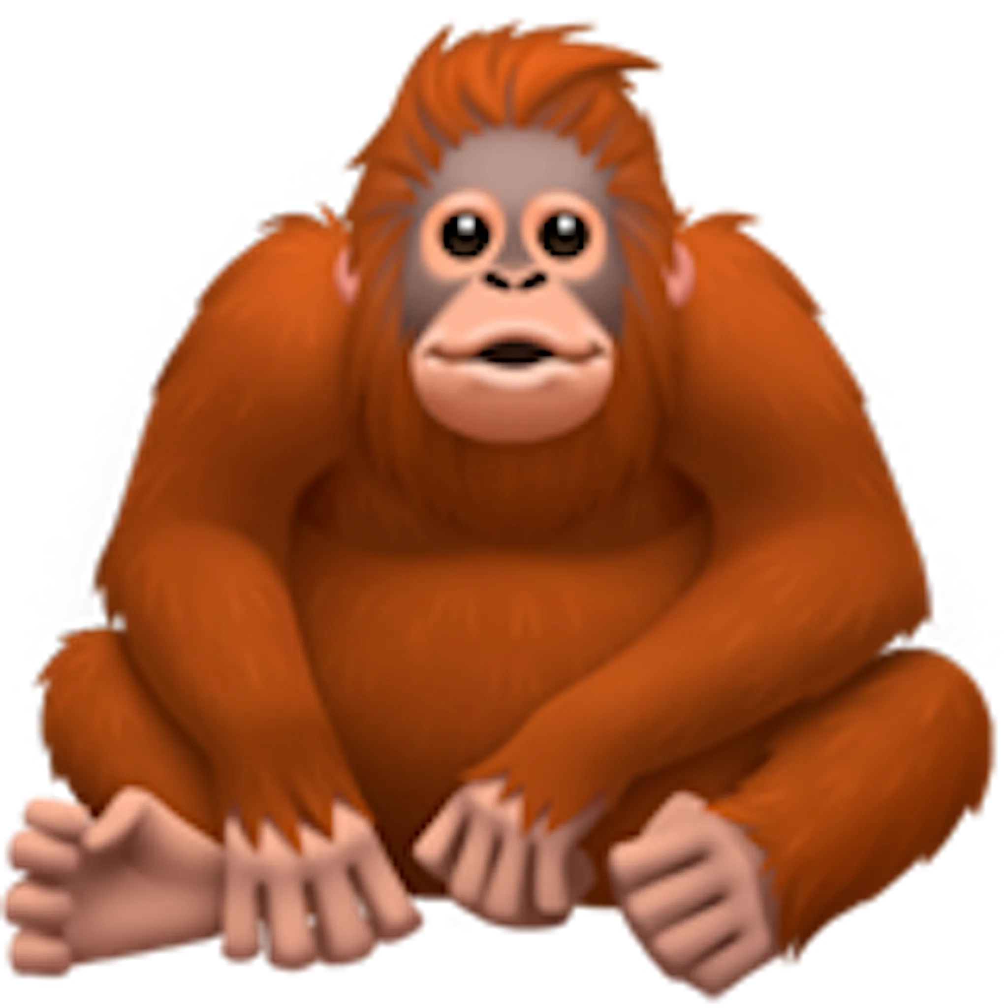 🦧 Orangutan Emoji Copy Paste 🦧