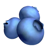🫐 Blueberries Emoji Copy Paste 🫐